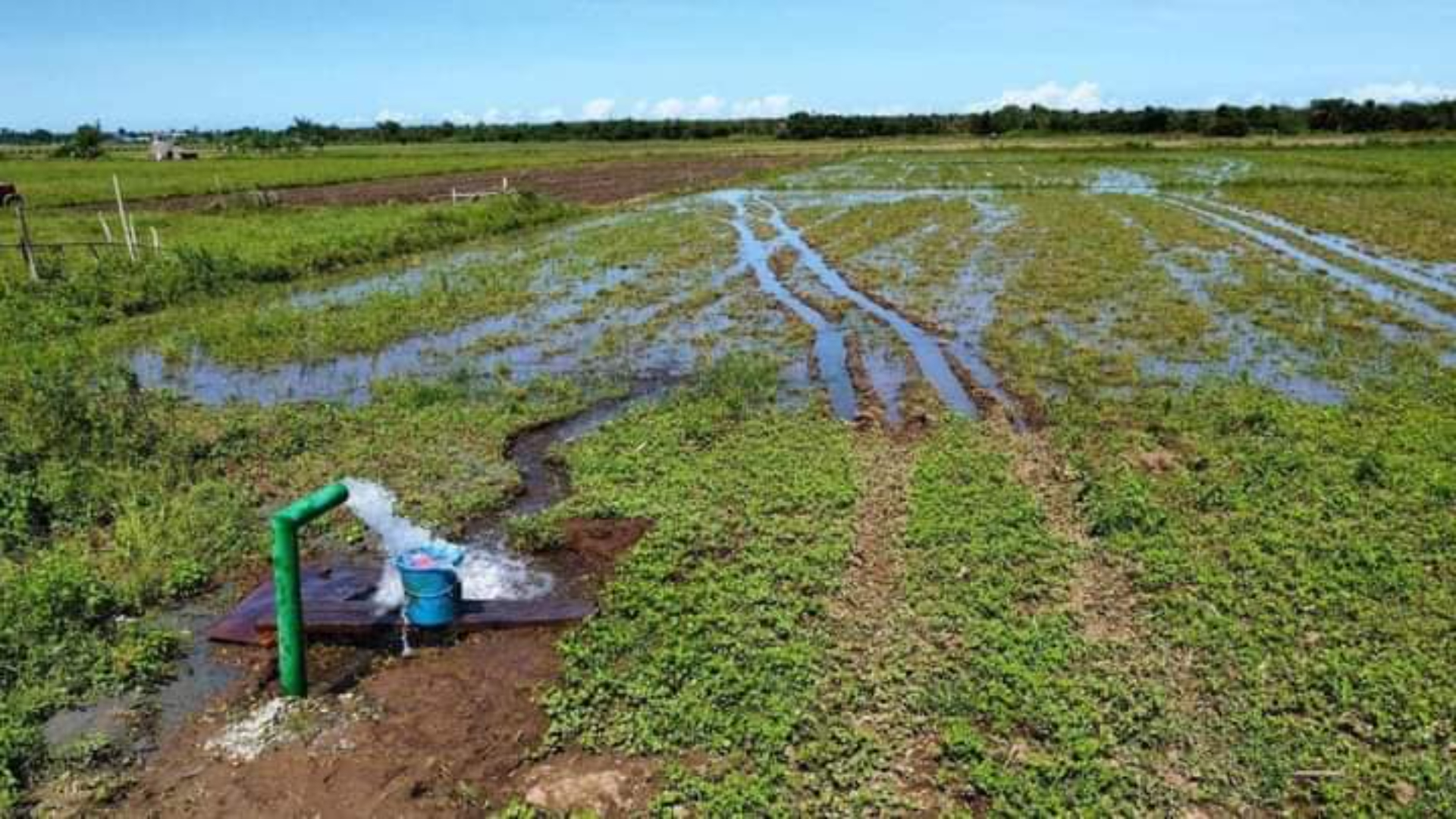 Additional Rice Cropping Eyed With Rehab Of Apayao Irrigation Canals ...