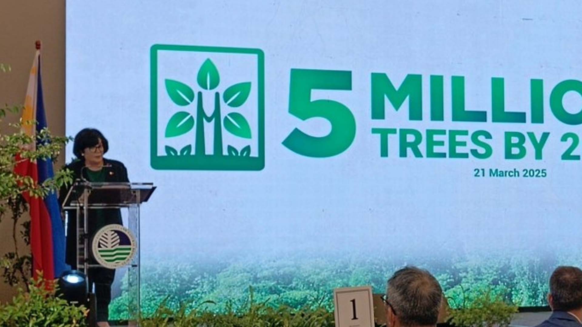 DENR UNDERSECRETARY DAVID: ‘Trees Contribute To Flood Mitigation And ...